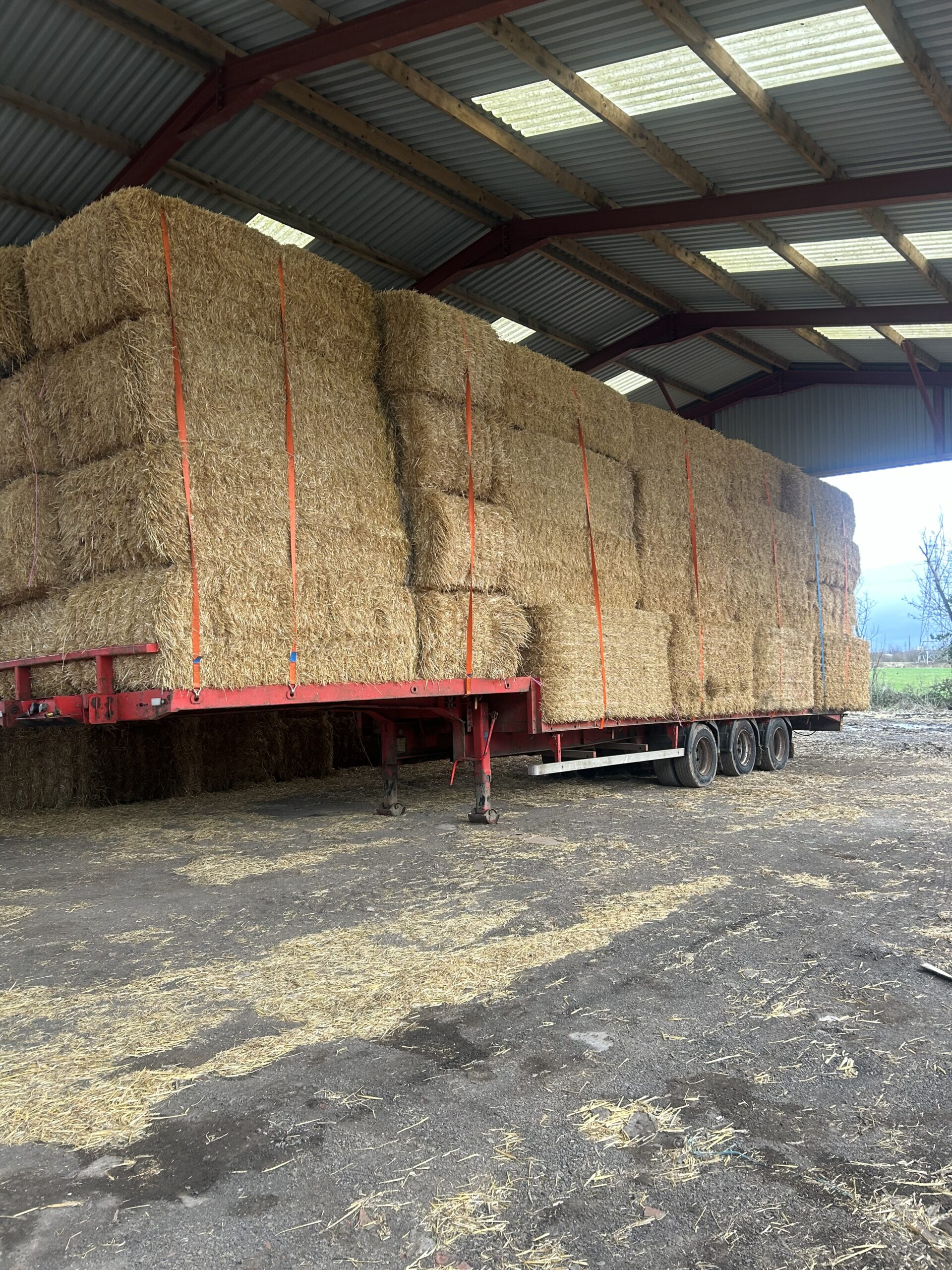 1 load of Barley straw in 120x90s - Do The Deals